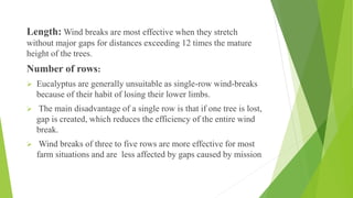 Shelterbelts and windbreaks | PPTX