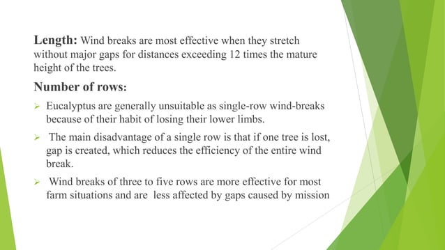 Shelterbelts and windbreaks | PPTX | Gardening | Home & Garden