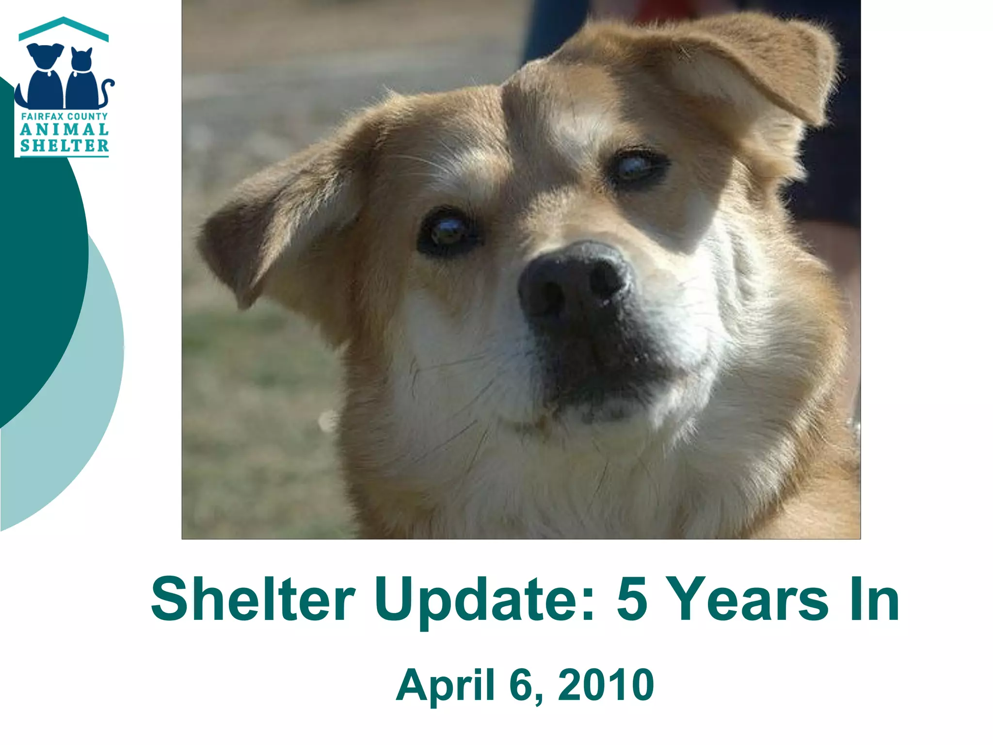 Animal Shelter Strategic Plan | PDF