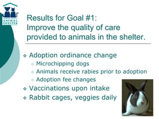 Animal Shelter Strategic Plan | PDF