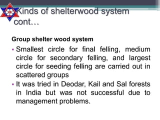 Shelterwood system jyoti ghimire | PPTX
