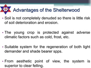 Shelterwood system jyoti ghimire | PPTX
