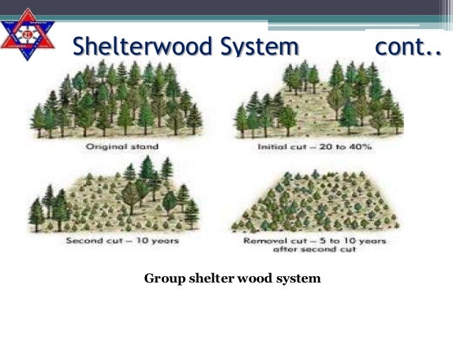 Shelterwood system jyoti ghimire
