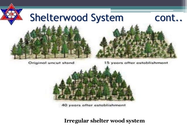 Shelterwood system jyoti ghimire
