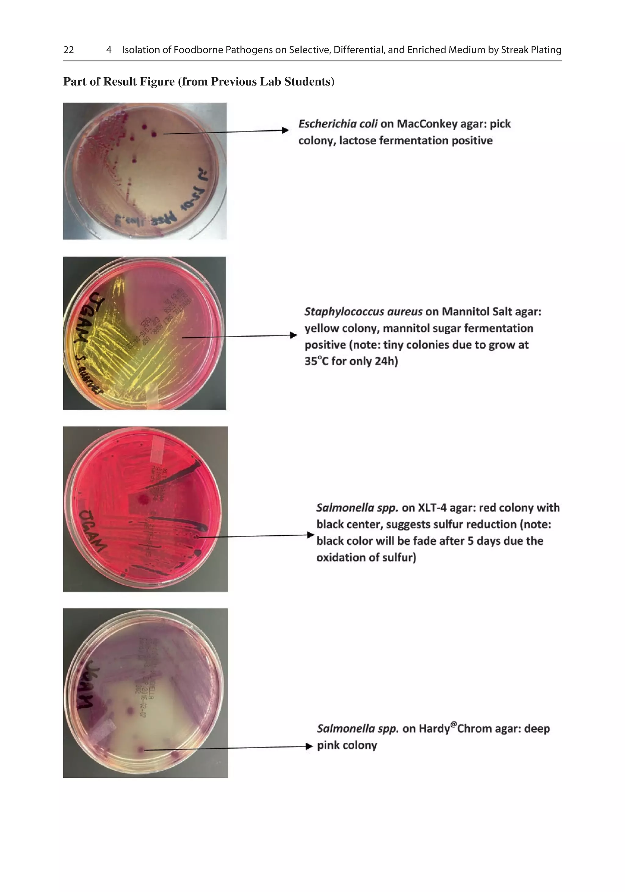 Food Microbiology Protocols | PDF