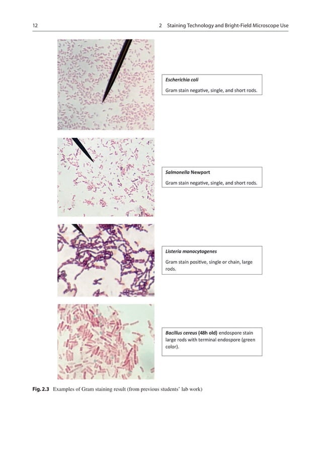Food Microbiology Protocols | PDF | Food Industry | Industries
