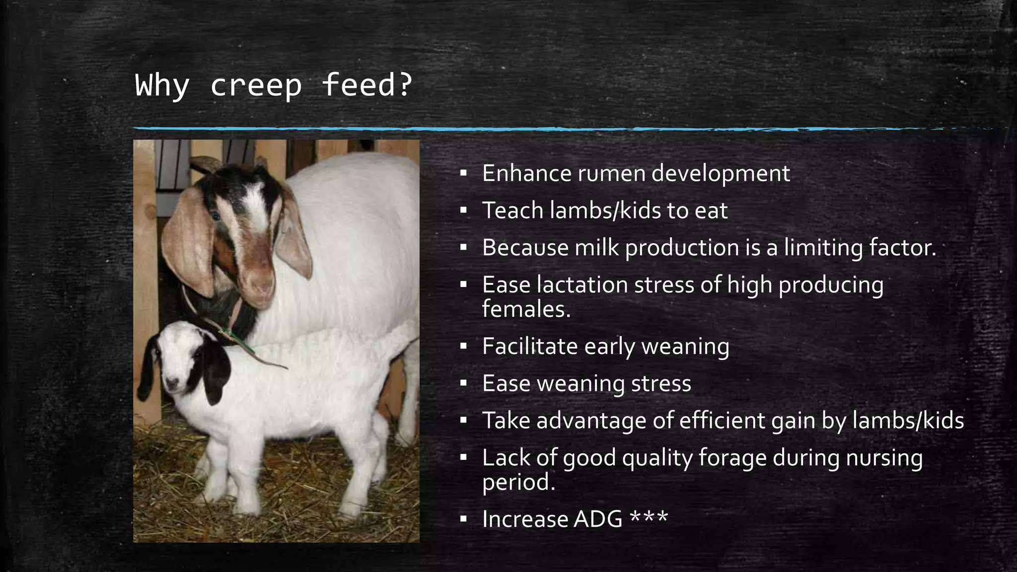Creep feeding and finishing options for lambs and kids | PPTX