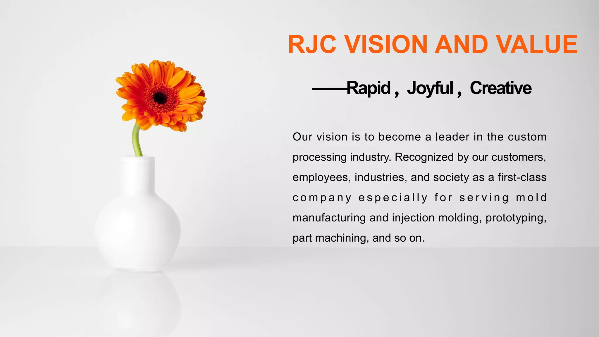 Shenzhen RJC Industrial Co., Ltd.pdf