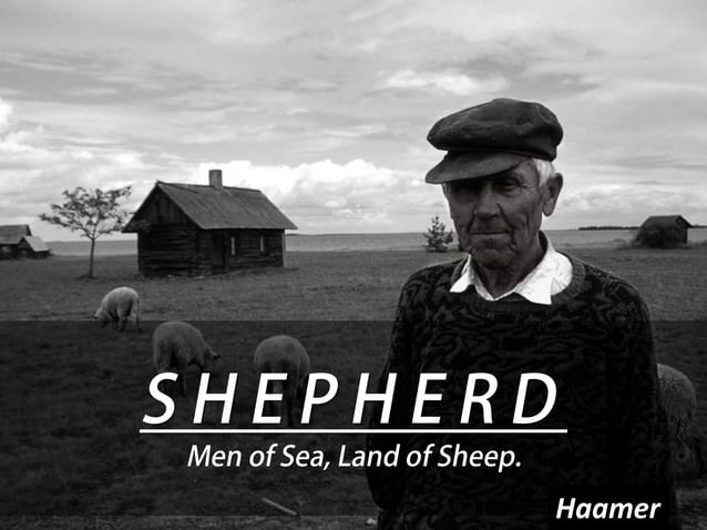 Shepherd | PPT