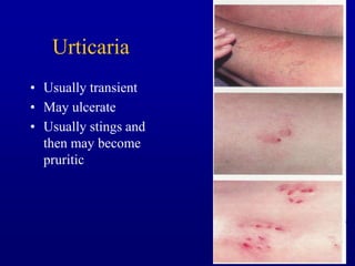 Management of Incompetence in the Axial Veins | PPTX
