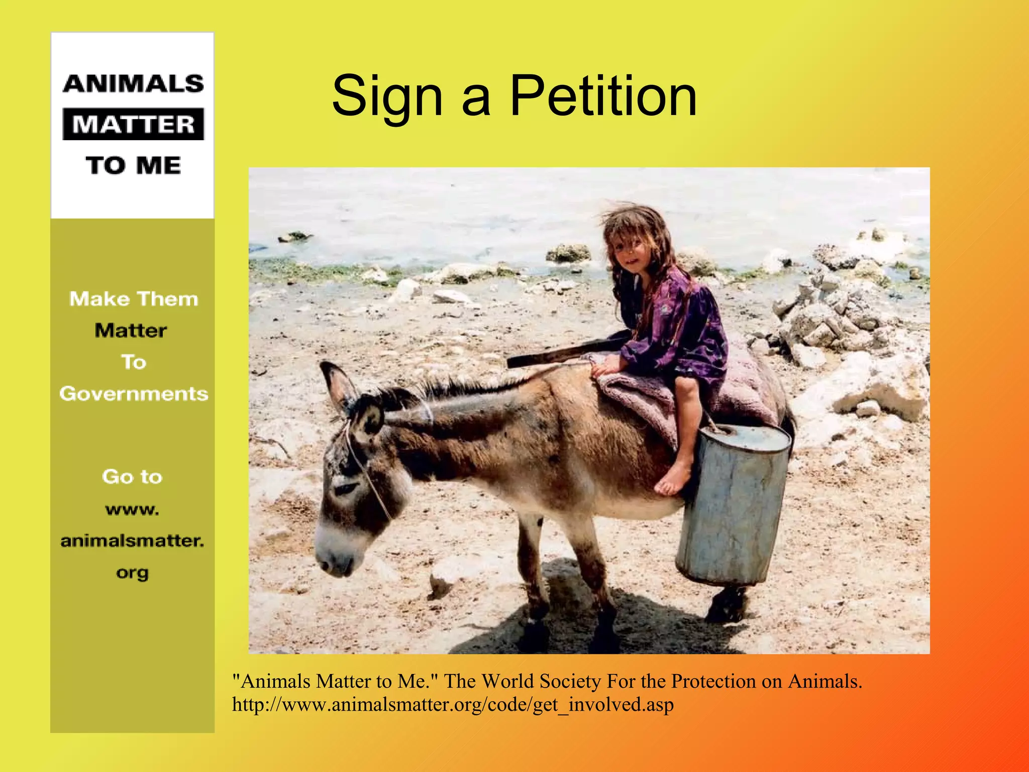 Animals Have Feelings too | ODP