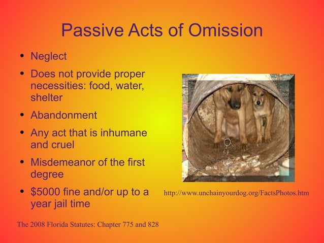 Animals Have Feelings too | PPT