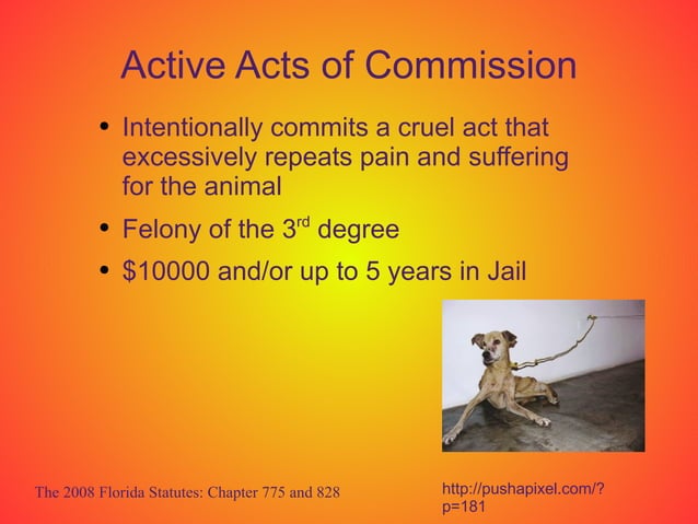 Animals Have Feelings too | PPT