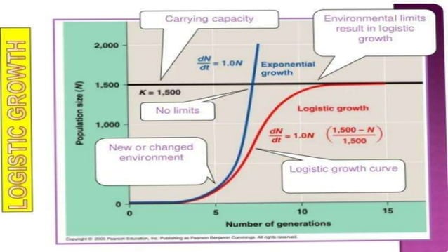 POPULATION AND BASIC POPULATION CHARACTERS.pptx