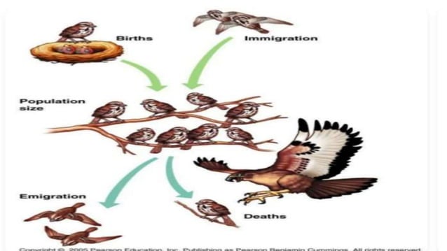 POPULATION AND BASIC POPULATION CHARACTERS.pptx