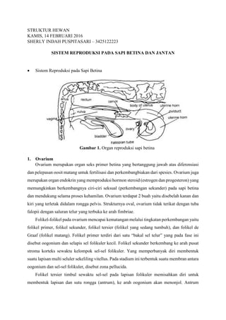 Sherlyindahpuspitasari3425122223uasstrukturhewan 160413215726 | PDF