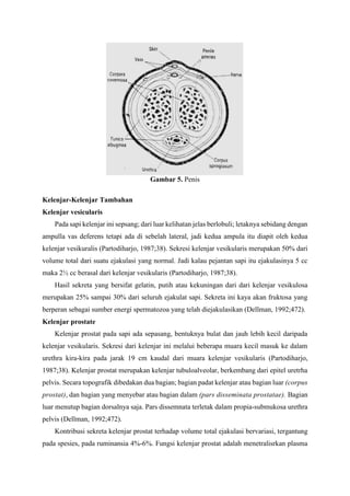 Sherlyindahpuspitasari3425122223uasstrukturhewan 160413215726 | PDF