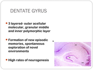 Sherlyn's neurobiology of emotions | PPT
