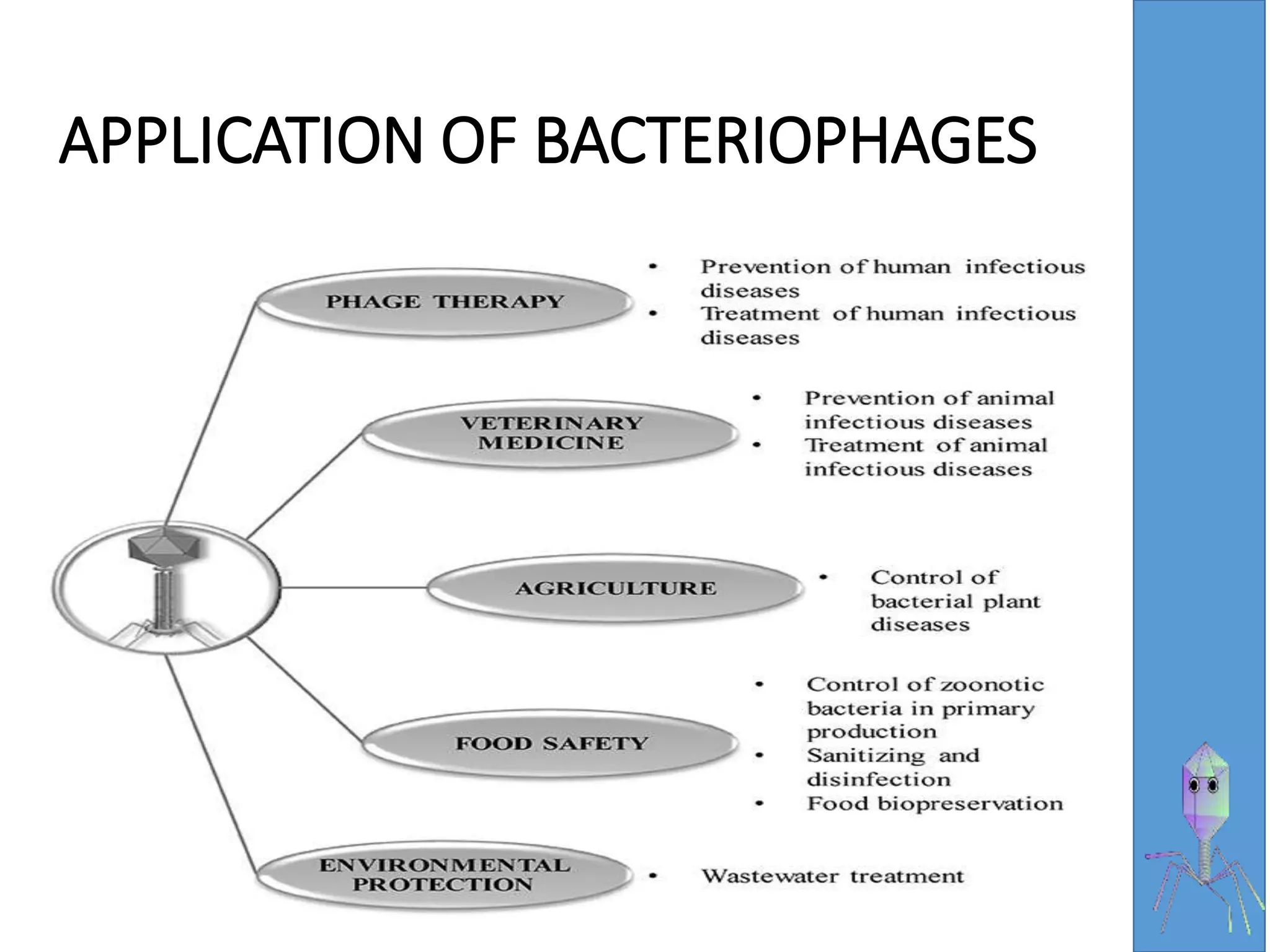 Bacteriophage | PPTX