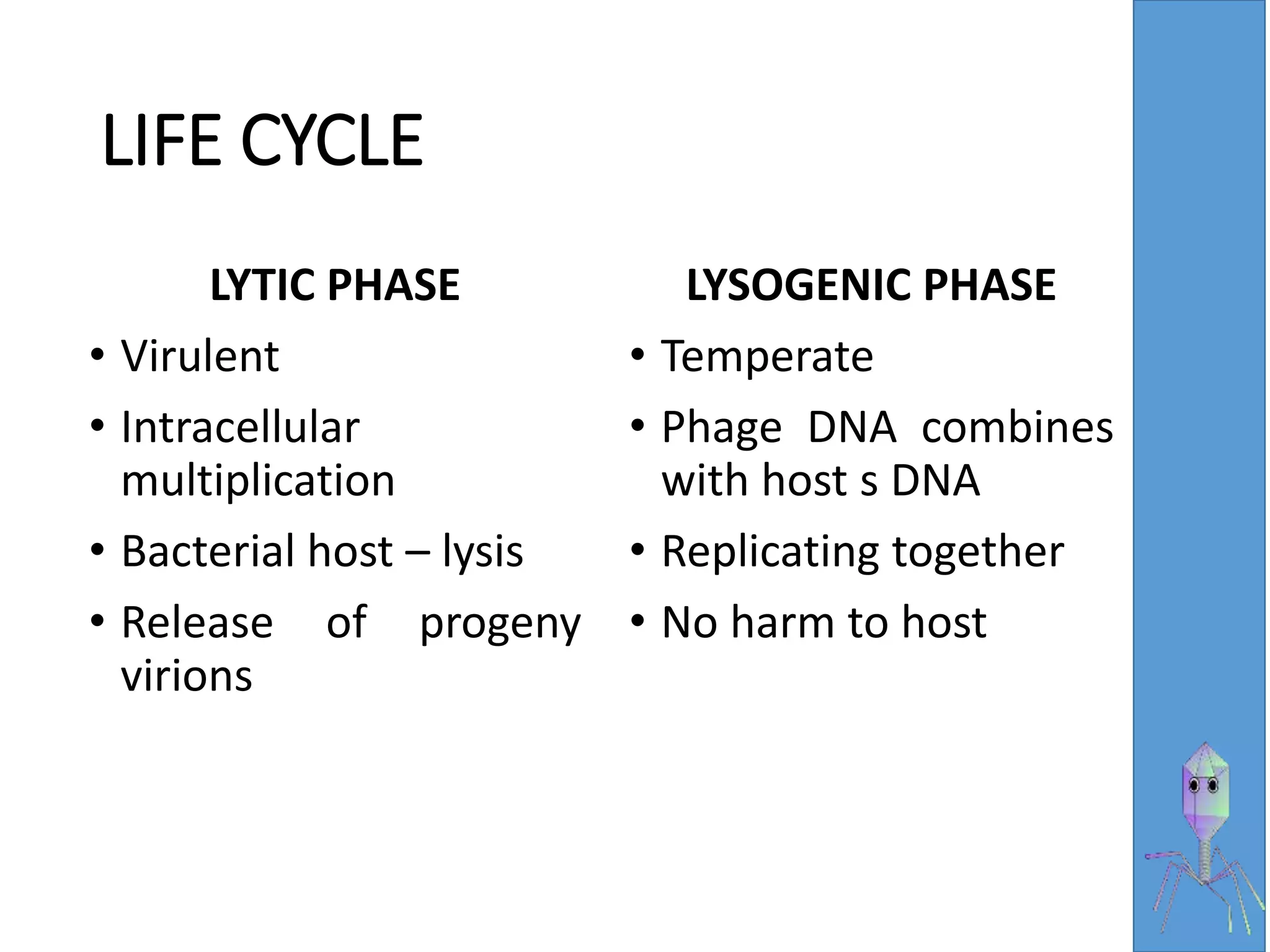 Bacteriophage | PPTX