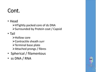 Bacteriophage | PPTX | Biological Sciences | Science