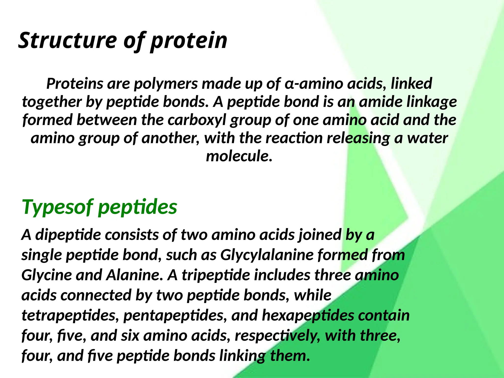 Structure of protein... Types of protein | PPT