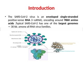 whole genome sequence analysis of sars-cov-2 | PPTX