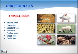 Shg presentation - marketing | PDF