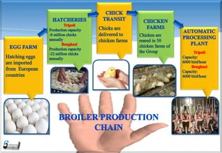 Shg presentation - marketing | PDF