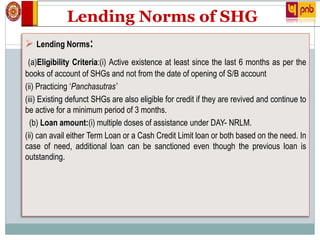 SHG Financing (1).pptx