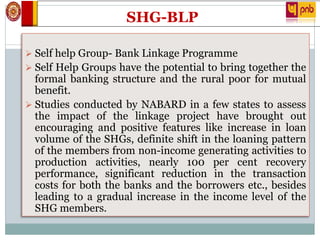 SHG Financing (1).pptx