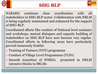 SHG Financing (1).pptx