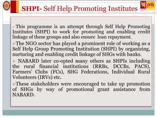 SHG Financing (1).pptx