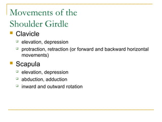ShGirdle2003 (2).PPT anatomy and physiology | PPT