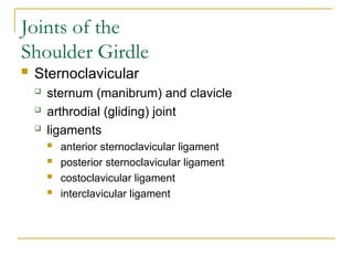 ShGirdle2003 (2).PPT anatomy and physiology | PPT