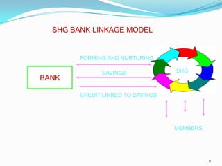 Shg’s.rt (2) | PPTX