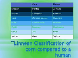 Shh biology in the garden no name | PPT