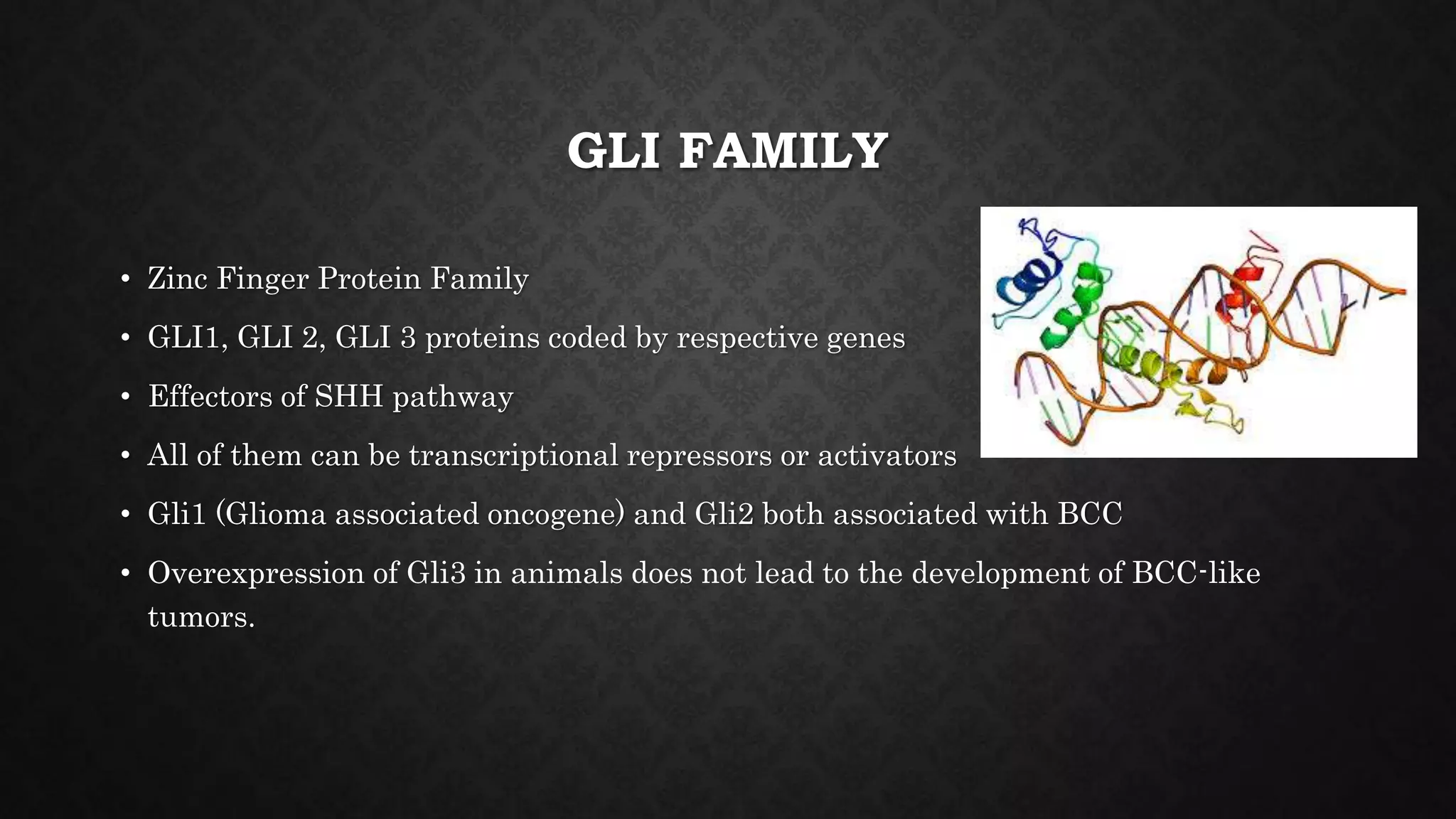 Shh signaling pathway | PPTX