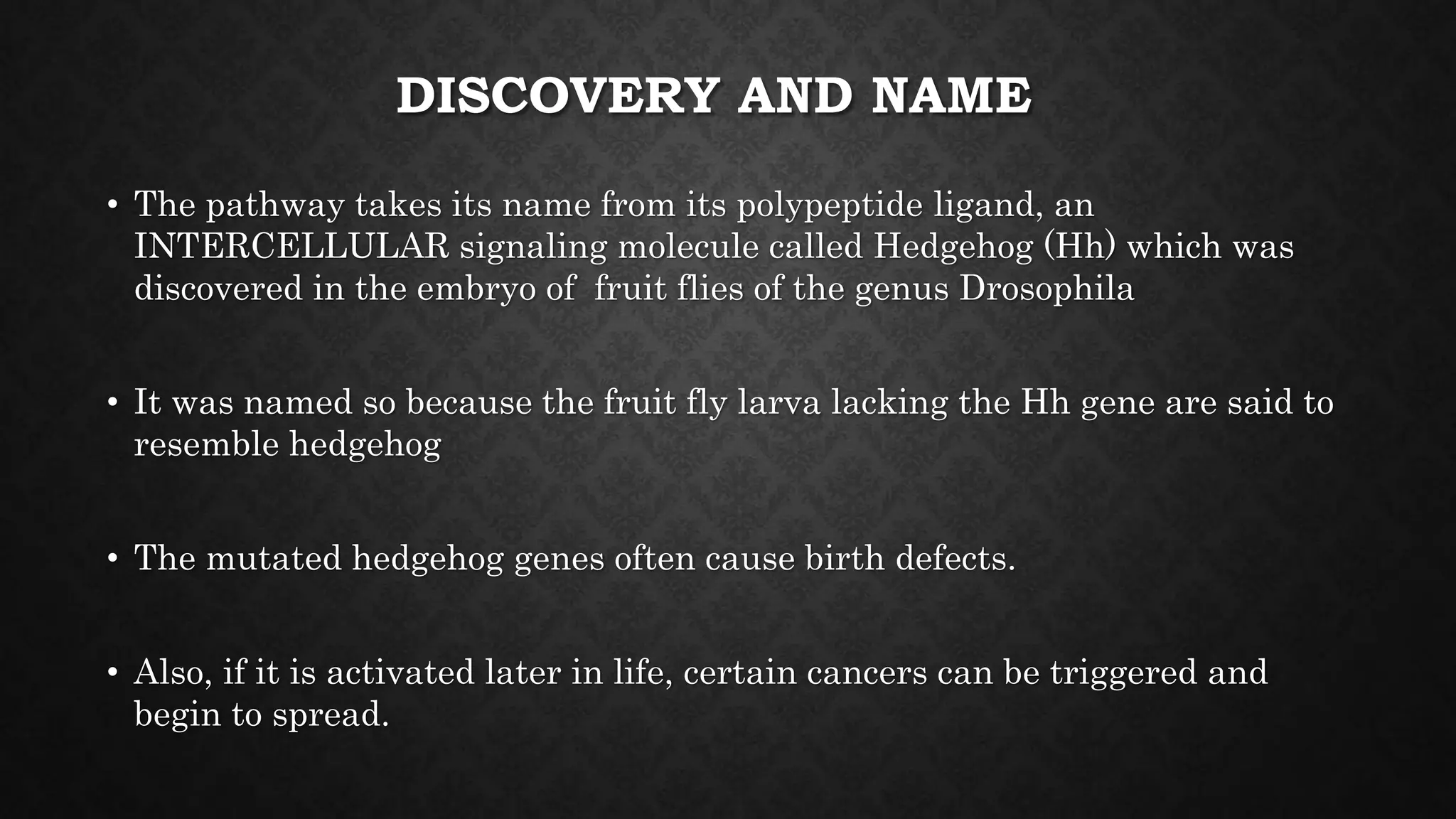 Shh signaling pathway | PPTX