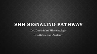 Shh signaling pathway | PPTX