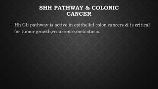 Shh signaling pathway | PPTX