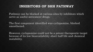 Shh signaling pathway | PPTX