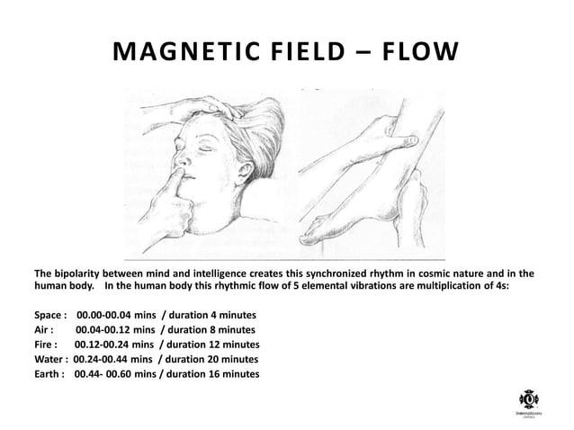 SHIATSU : BASIC PRINCIPLES | PDF