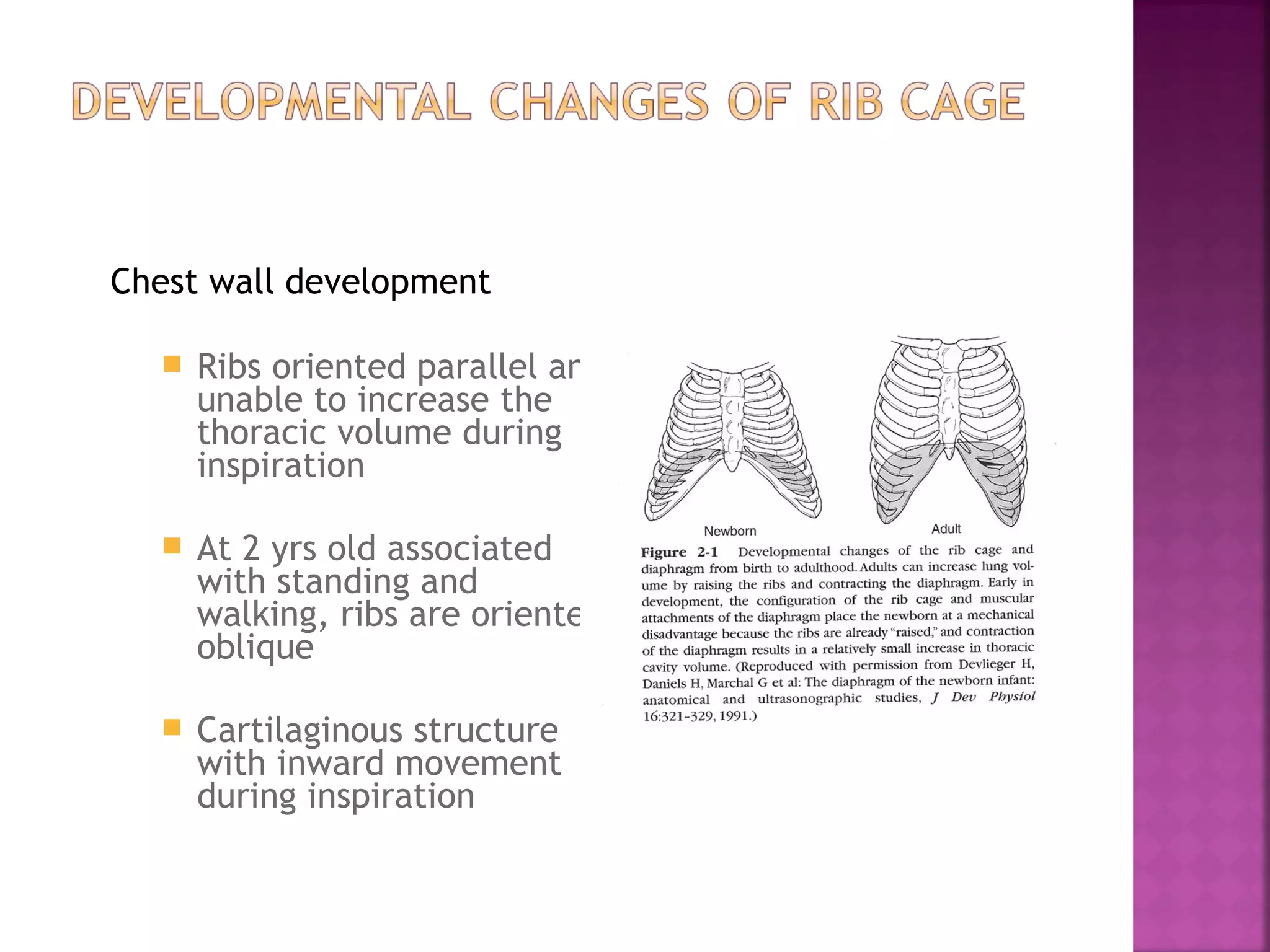 neonatal physiology | PPT