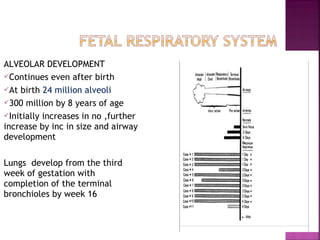 neonatal physiology | PPT