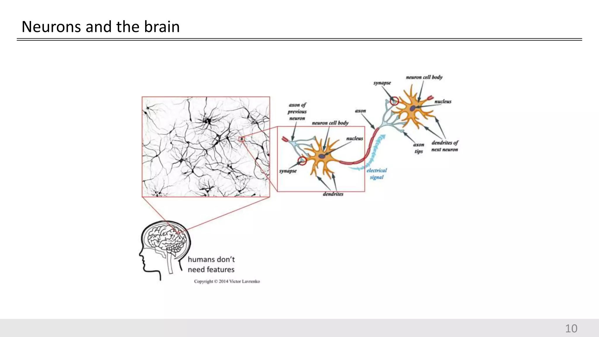 Deep learning basics described | PPTX