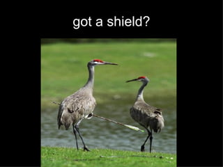 Shield Of Faith, Sword, Helmet | PPT