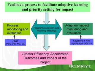 Technology adoption and impact pathways for SIMLESA. Shiferaw | PPTX ...