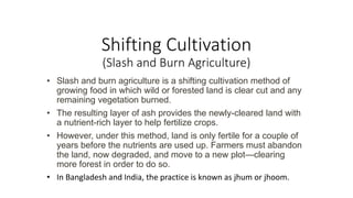 Shifting Cultivation-1.pptx