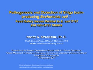 Shiga toxin Producing Escherichia coli-Nancy Strockbine PhD | PPT